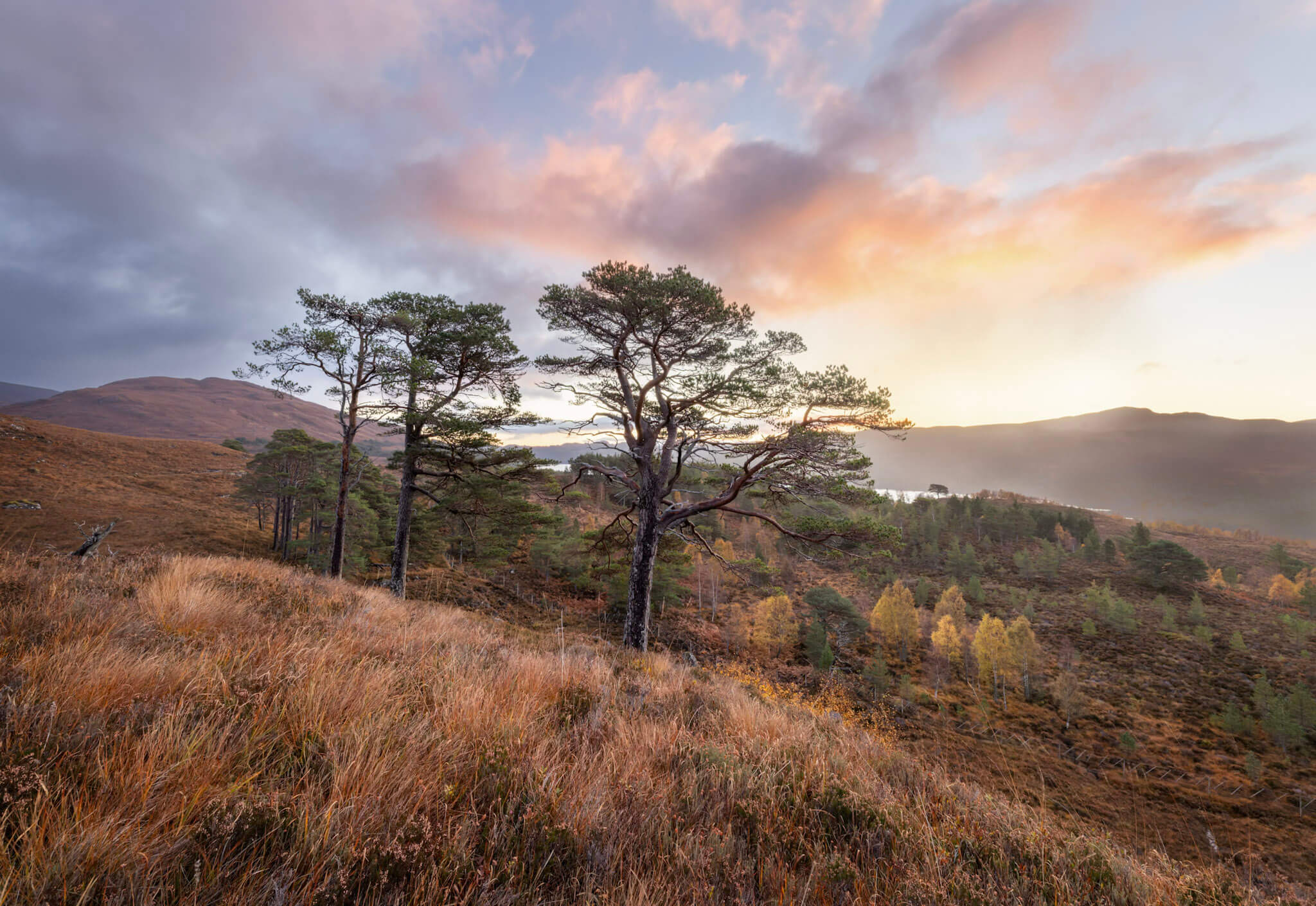 Exclusive Interview with Landscape Photographer, Robin Dodd