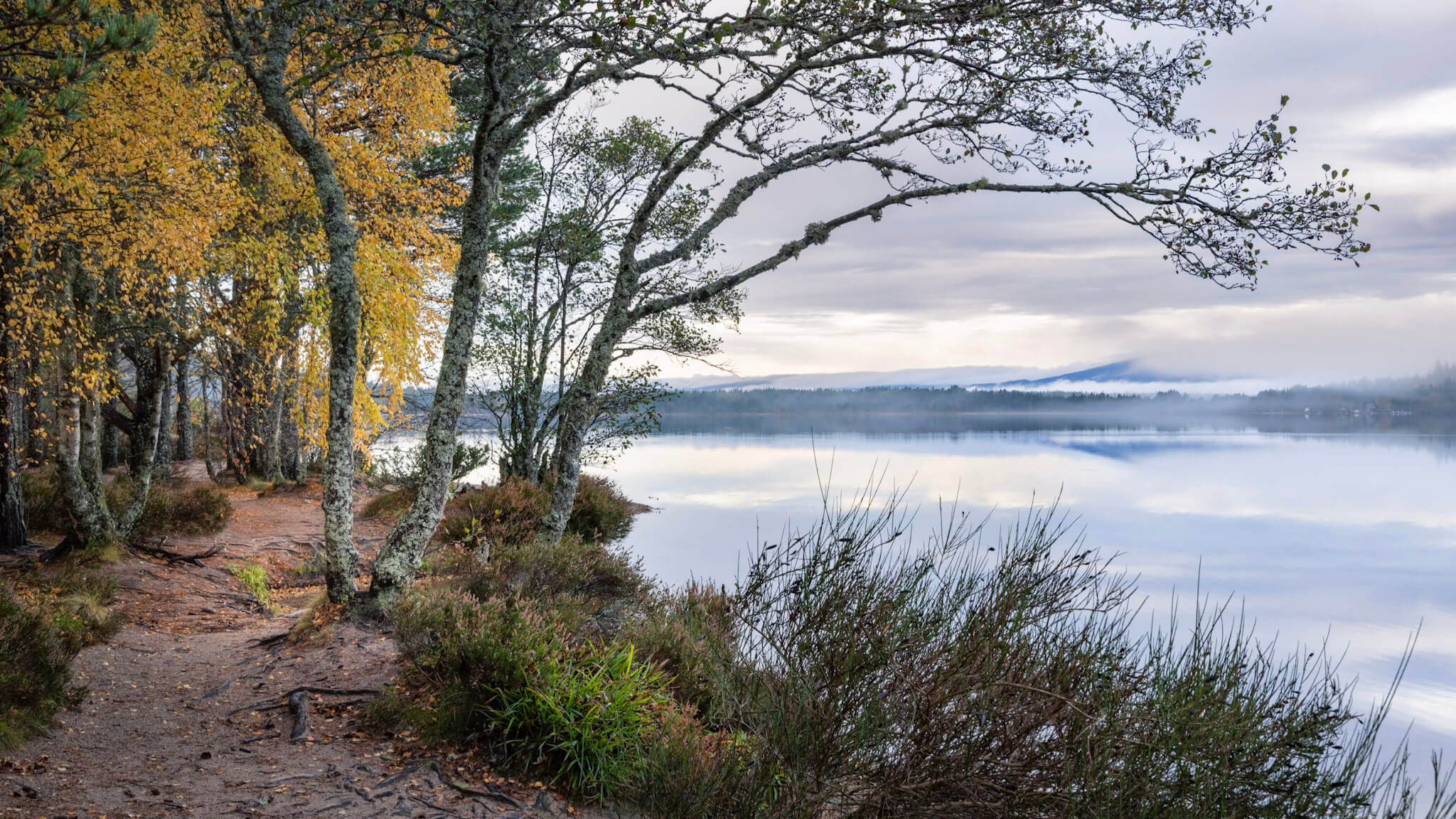Exclusive Interview with Landscape Photographer, Robin Dodd