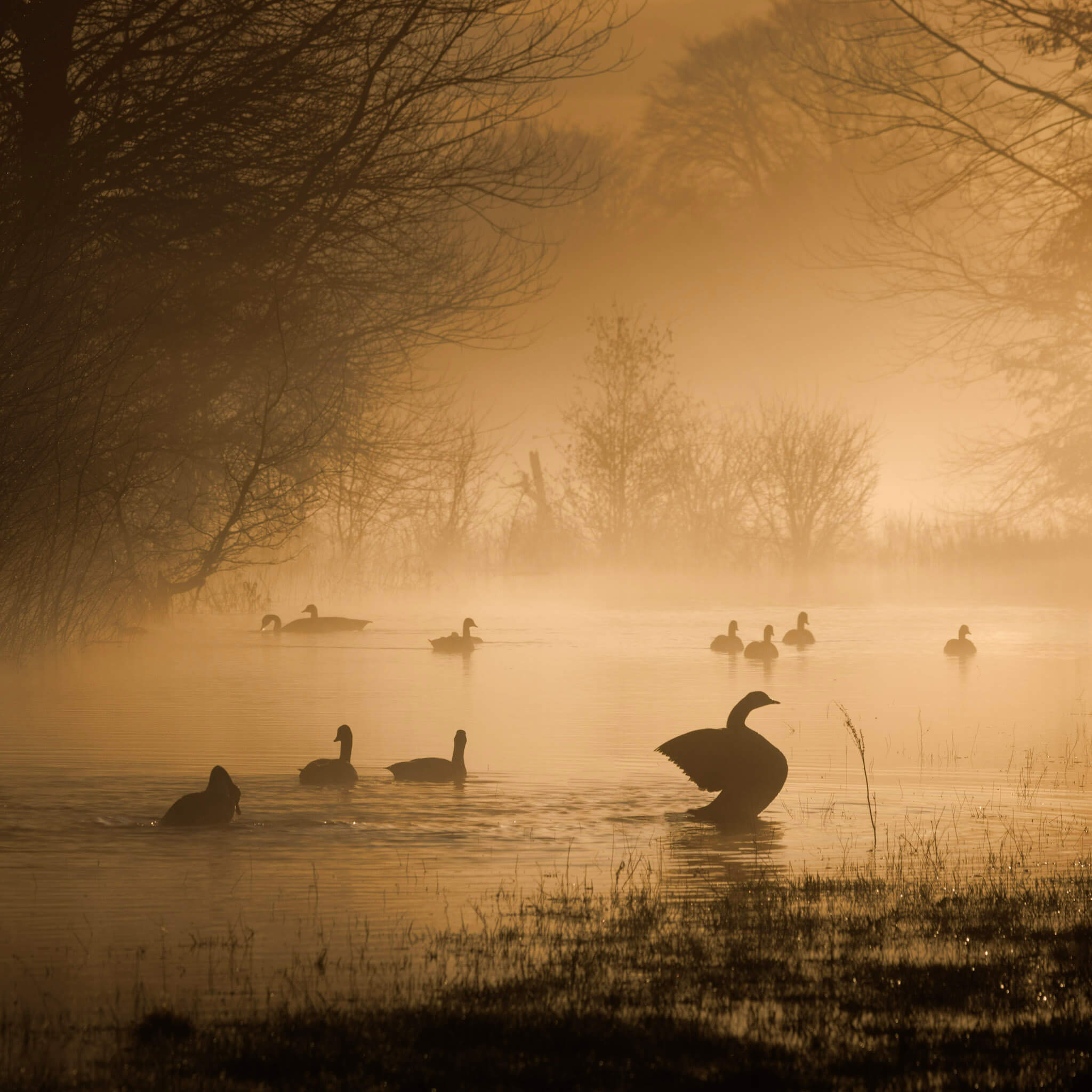 Exclusive Interview with Landscape Photographer, Robin Dodd