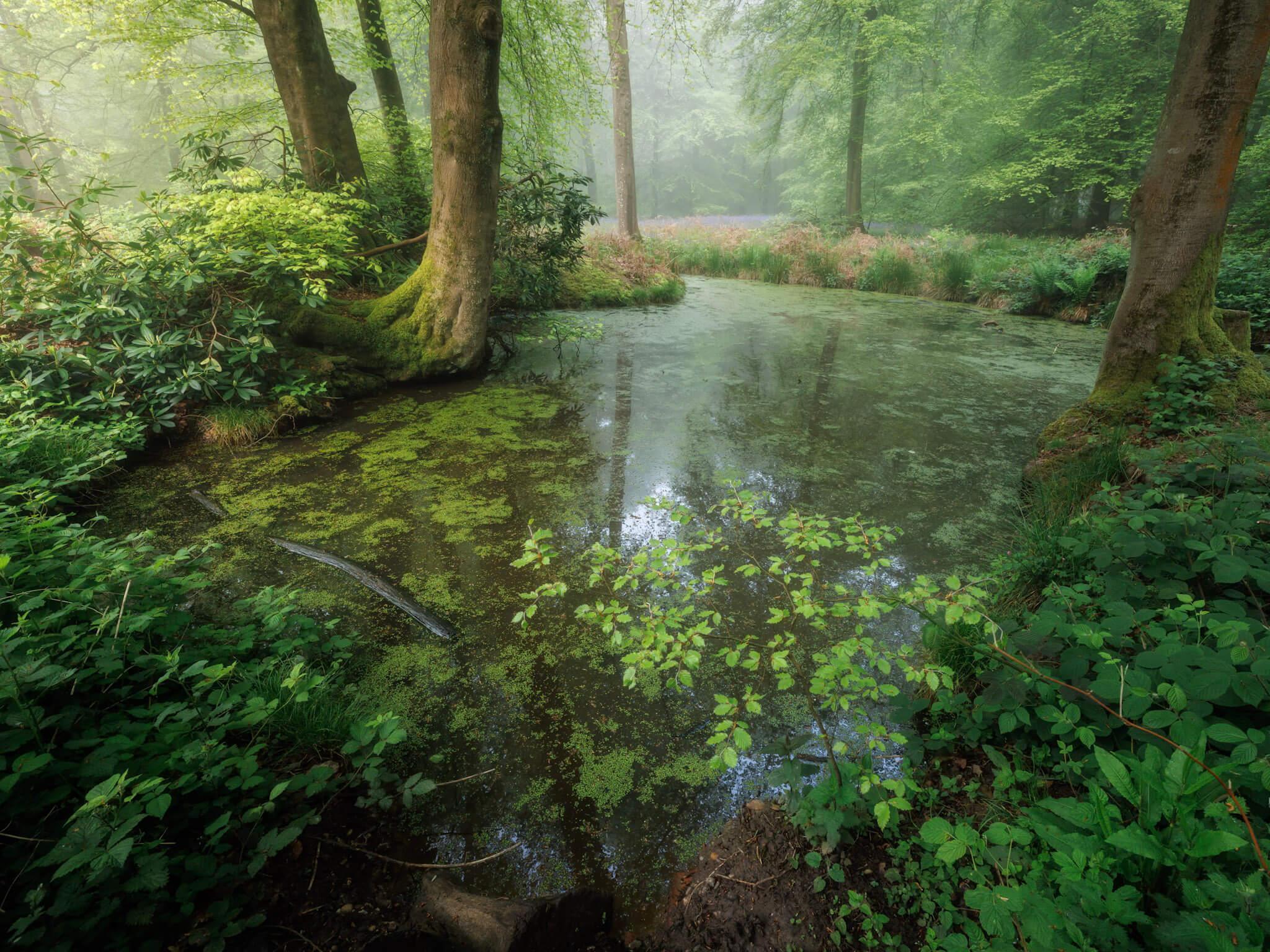 Exclusive Interview with Landscape Photographer, Robin Dodd
